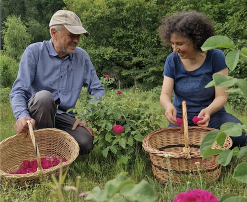 Melinis: Blending Nature and Technology in Buzău